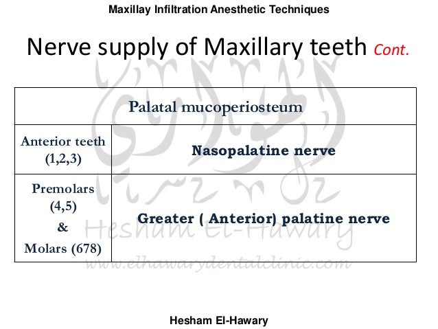 Maxillary infiltration anesthetic techniques (with photos)