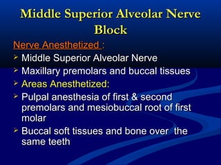 Maxillary Local Anesthesia | PPT