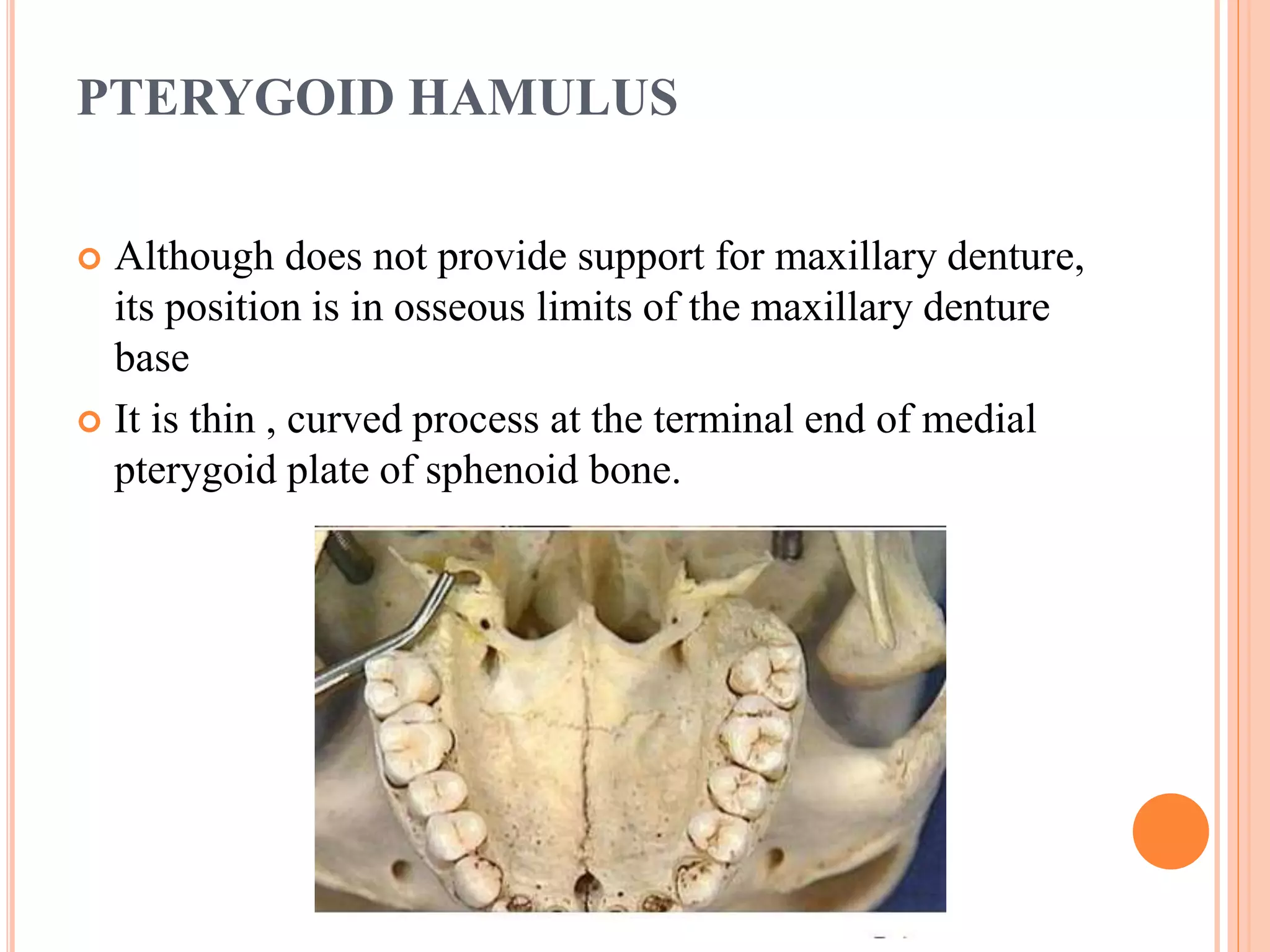 Maxillary landmarks | PPTX