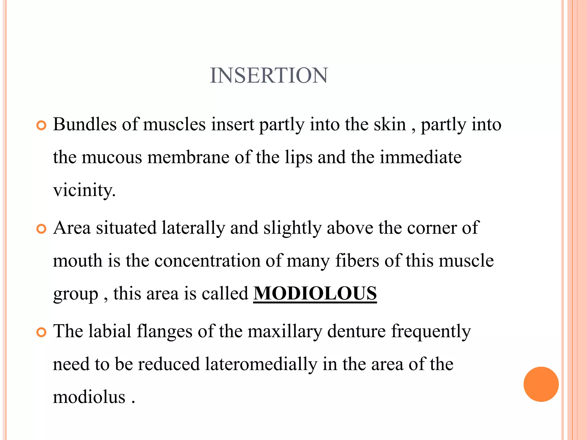 Maxillary landmarks | PPTX