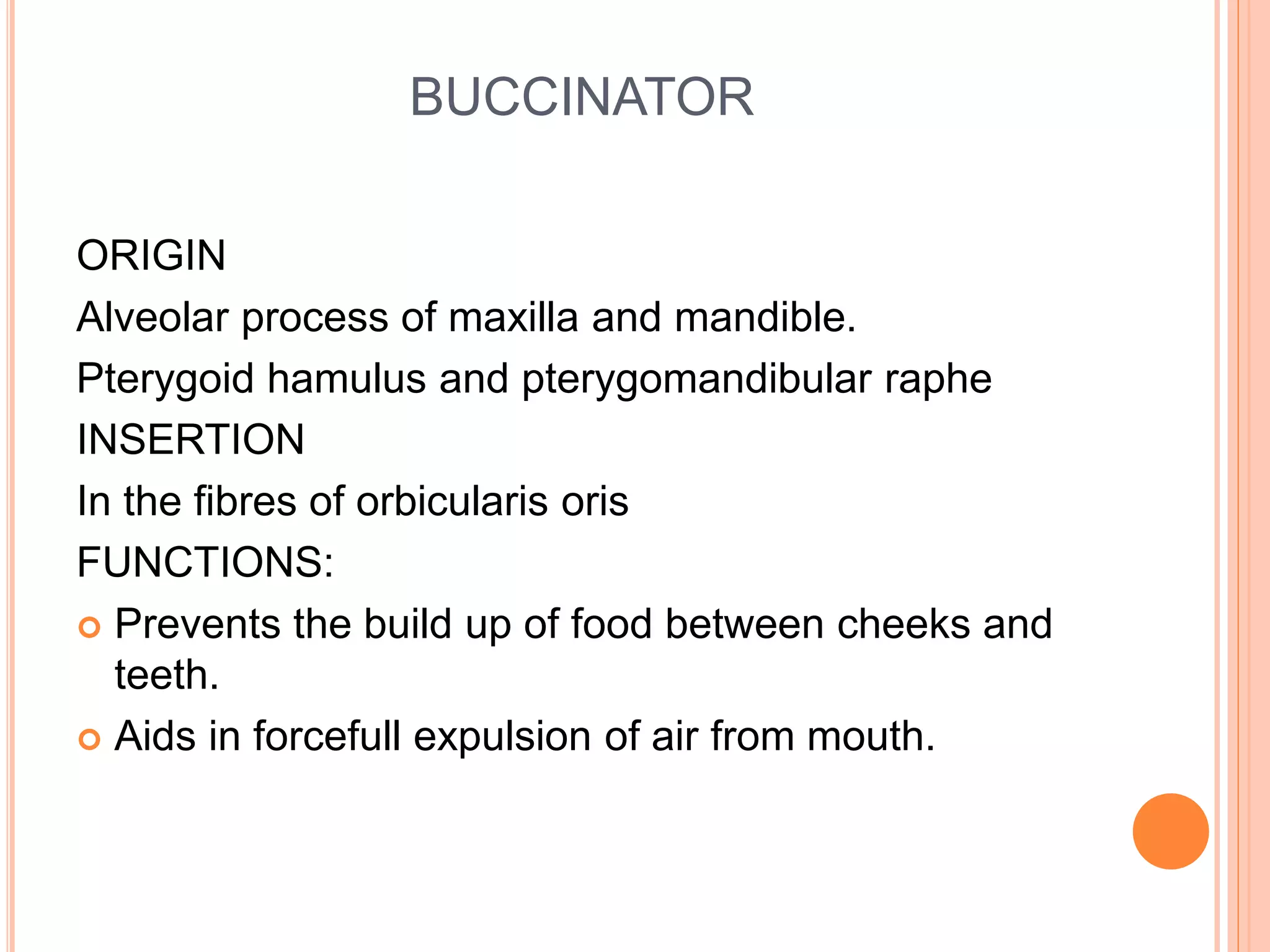 Maxillary landmarks | PPTX
