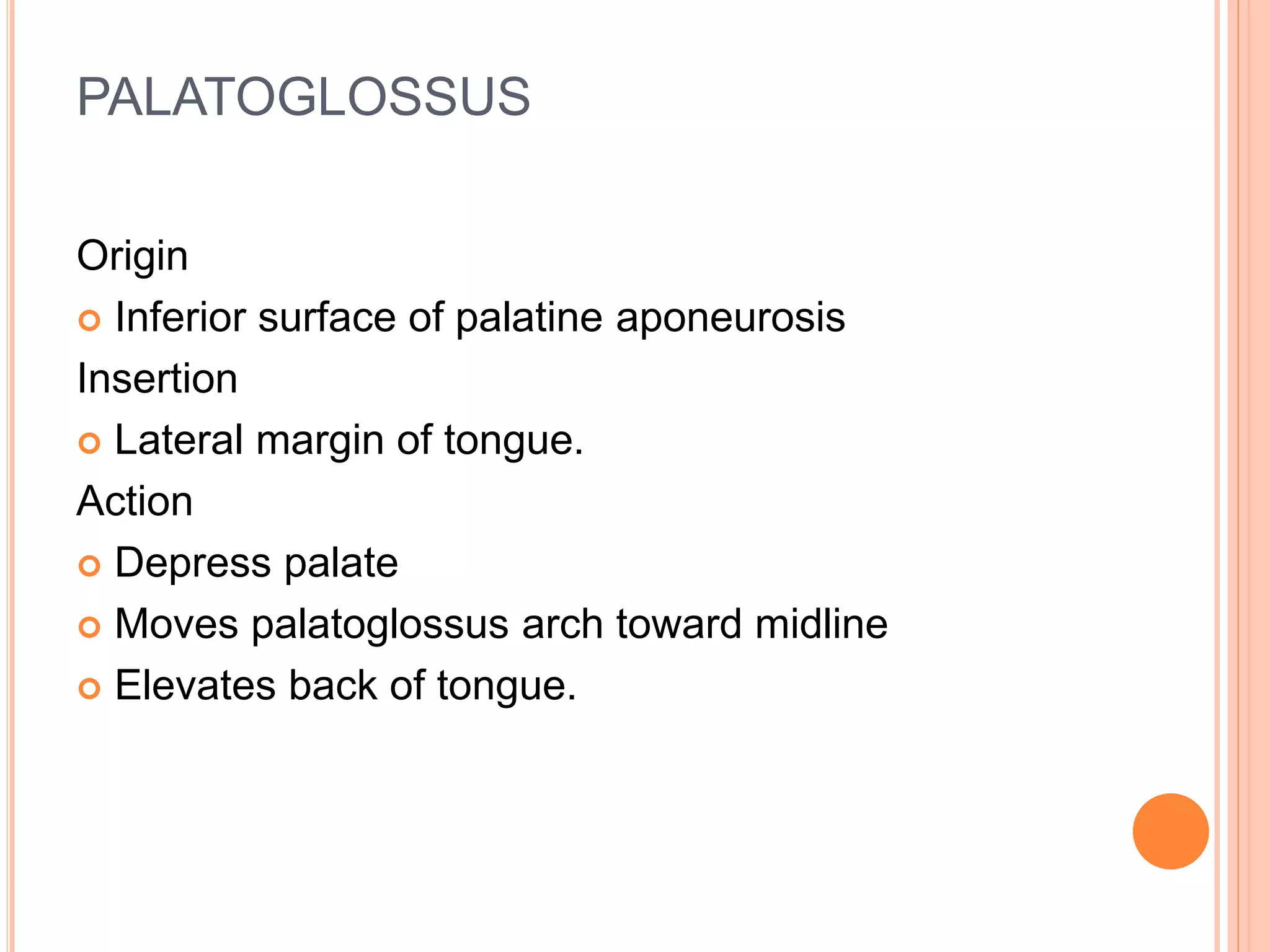 Maxillary landmarks | PPTX