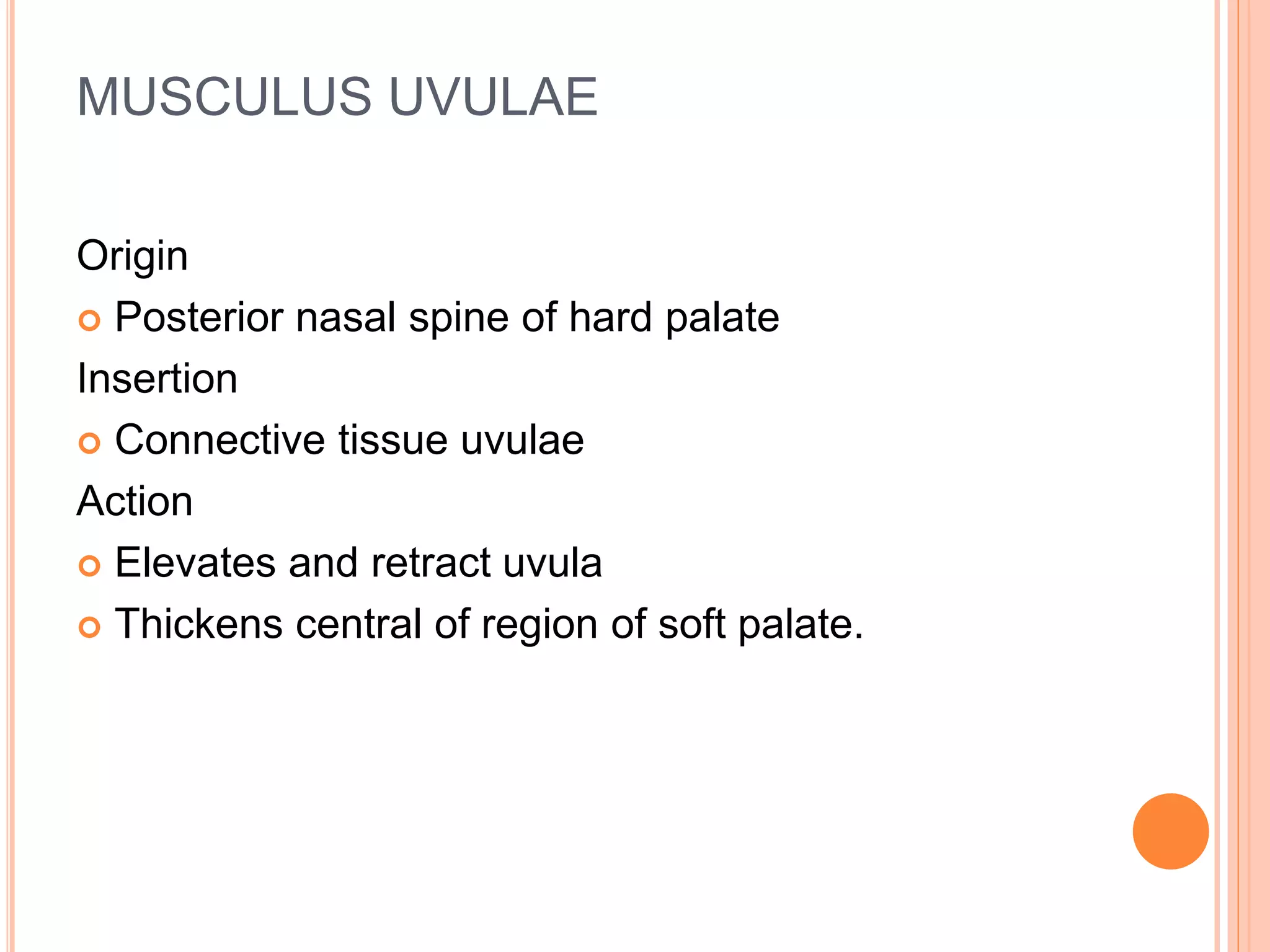 Maxillary landmarks | PPTX