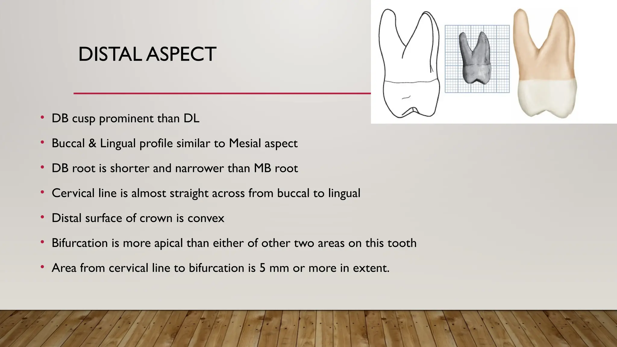 Tooth morphology of MAXILLARY & MANDIBULAR.pptx