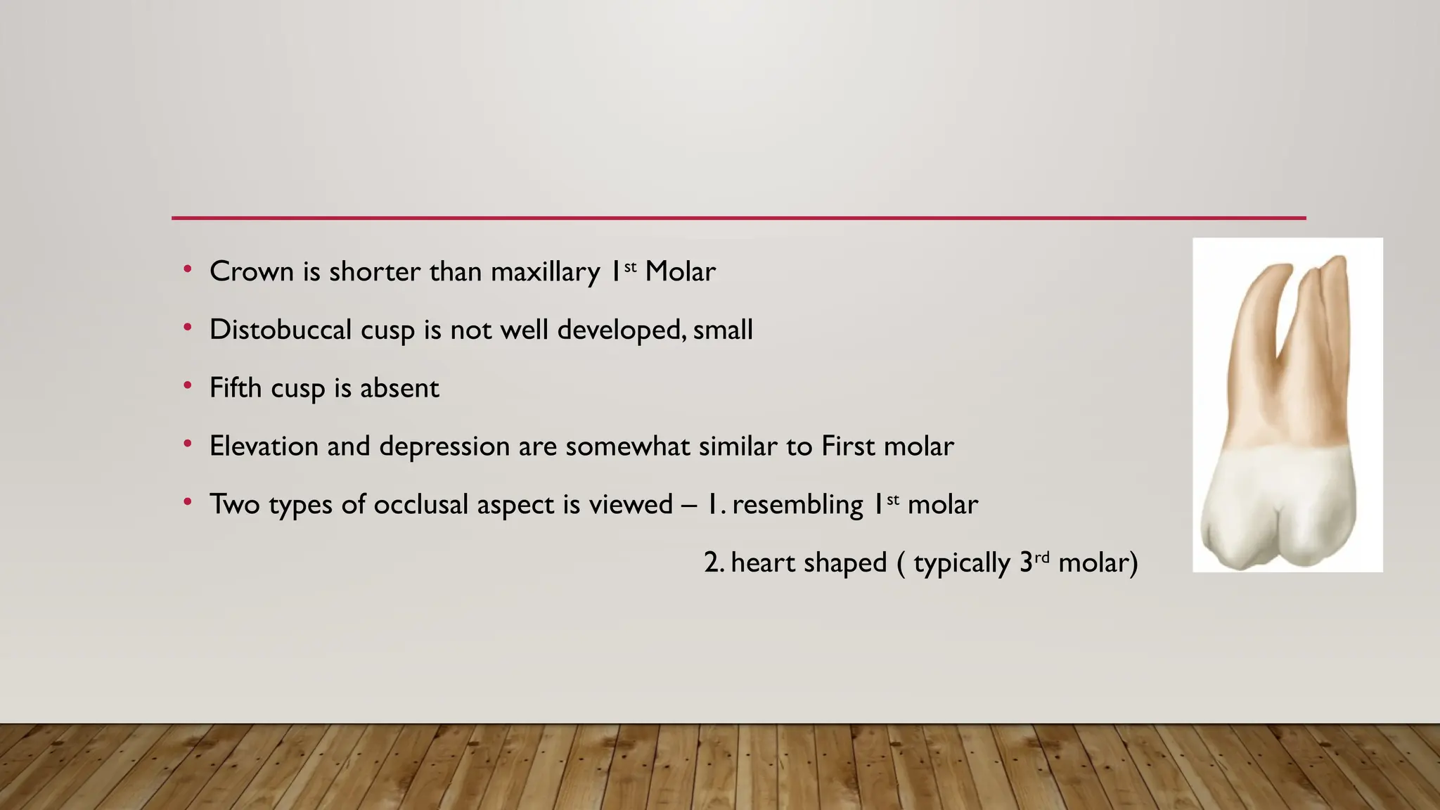 Tooth morphology of MAXILLARY & MANDIBULAR.pptx