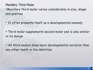 Maxillary Molars | PPT