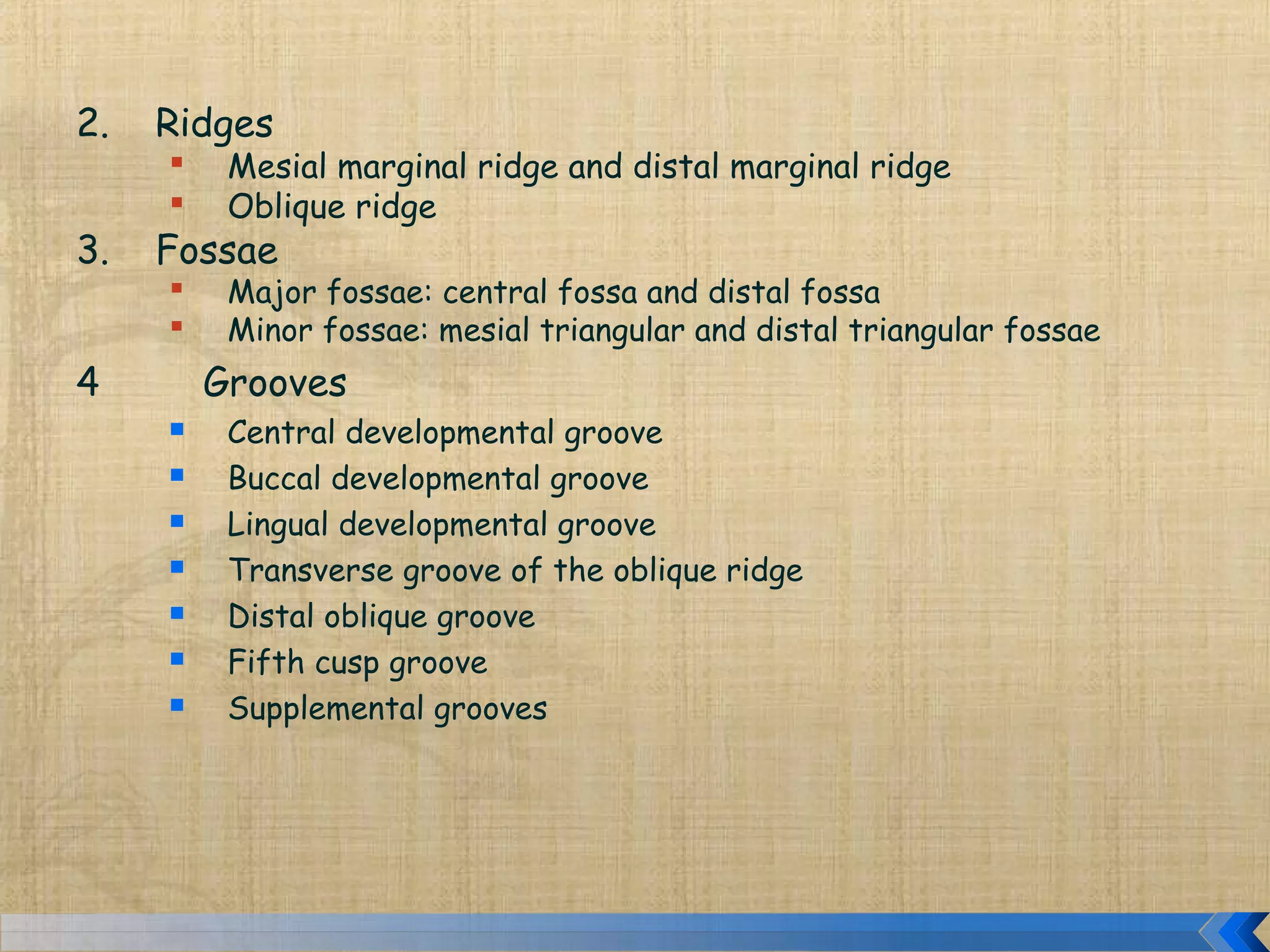 morphology of maxillary 1st,2nd,3rd molar teeth | PPT
