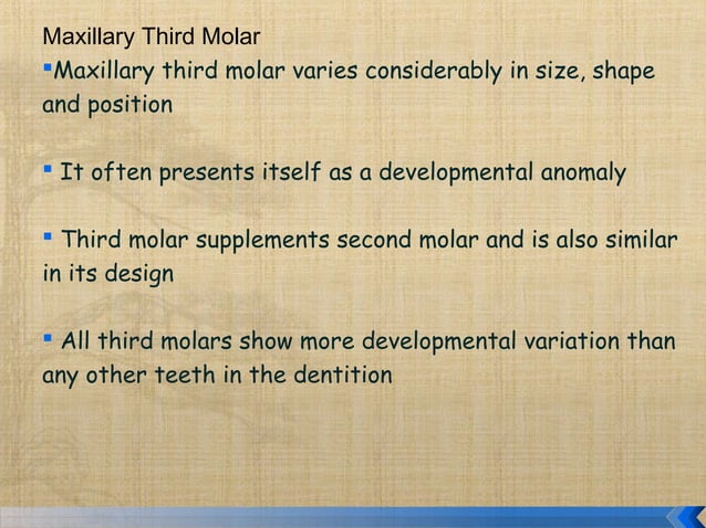 morphology of maxillary 1st,2nd,3rd molar teeth | PPT