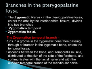 Maxillary nerve dental surgery | PPT