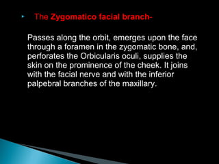 Maxillary nerve dental surgery | PPT