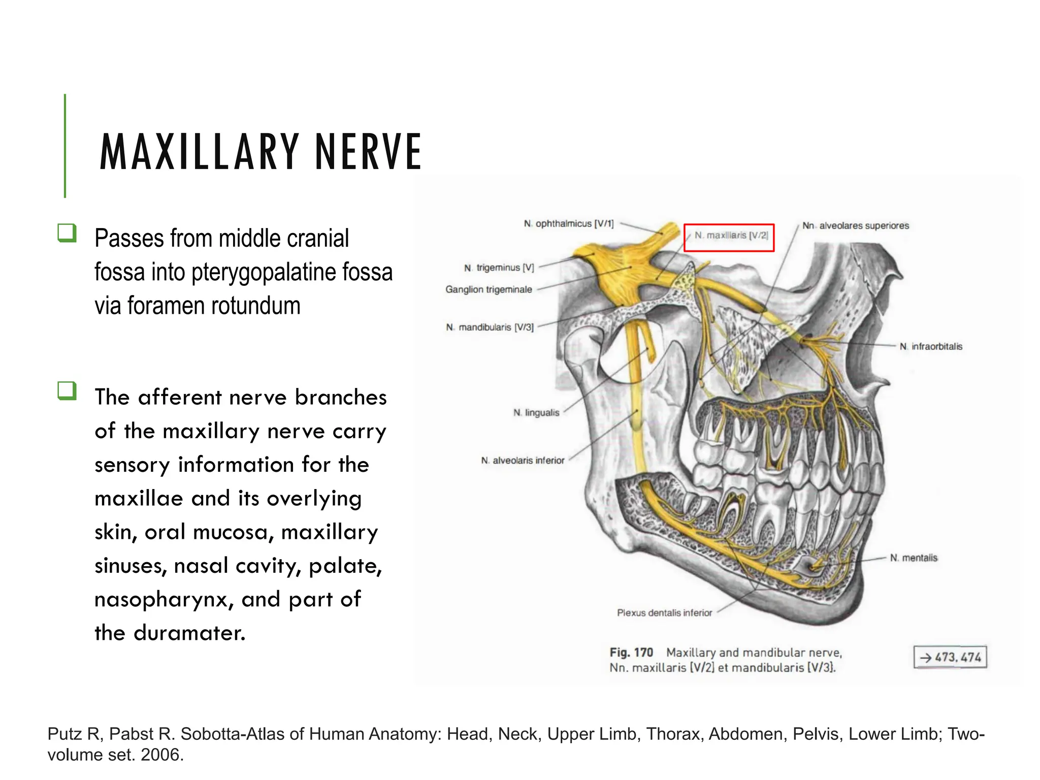 MAXILLARY NERVE ANATOMI PART OF TRIGEMINAL NERVE.pptx