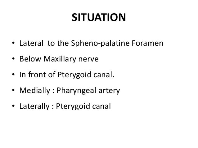 Maxillary nerve.pptx