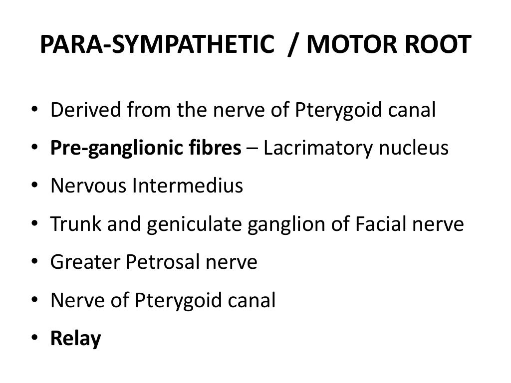 Maxillary nerve.pptx