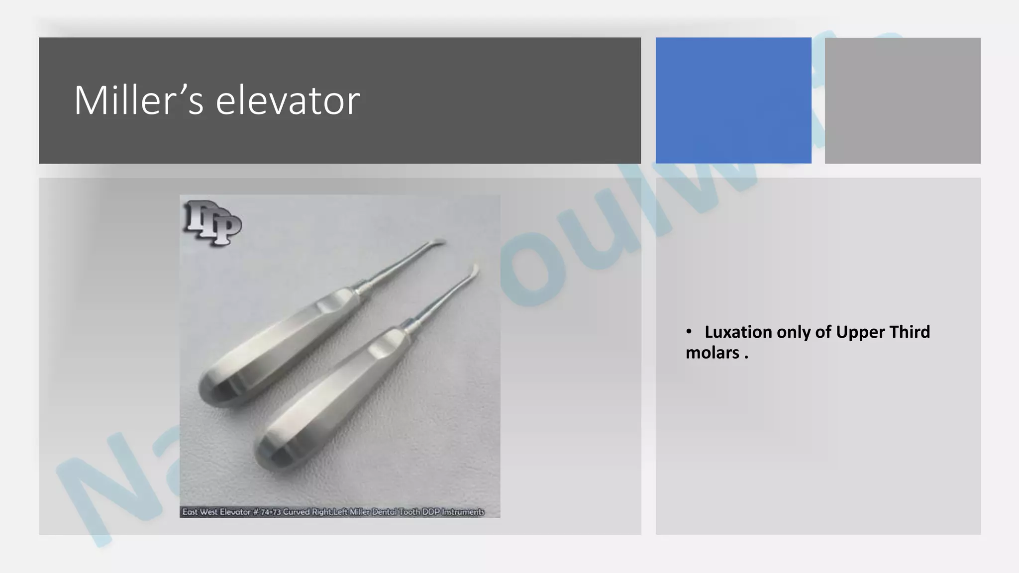 maxillary nerve.pptx