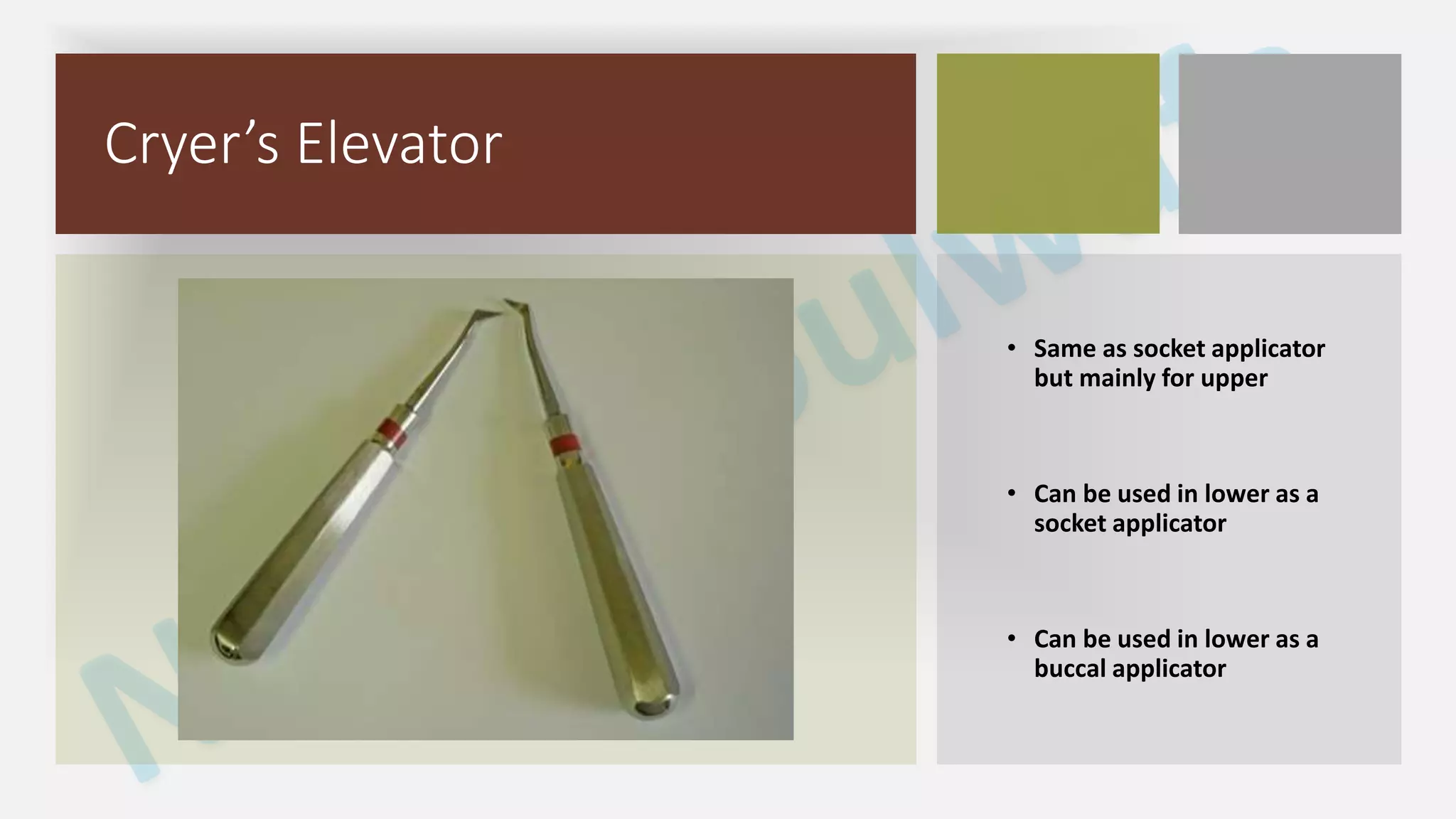 maxillary nerve.pptx