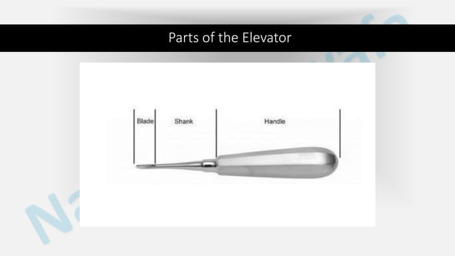 maxillary nerve.pptx