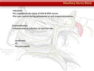 Maxillary nerve block.pptx