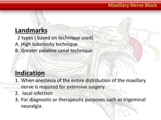 Maxillary nerve block.pptx
