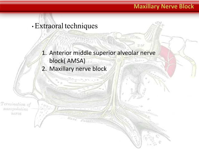 Maxillary nerve block.pptx