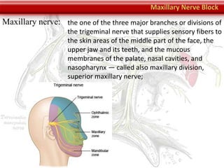 Maxillary nerve block.pptx