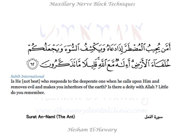 Maxillary nerve block anesthetic technique (with photos) | PDF | Ear ...