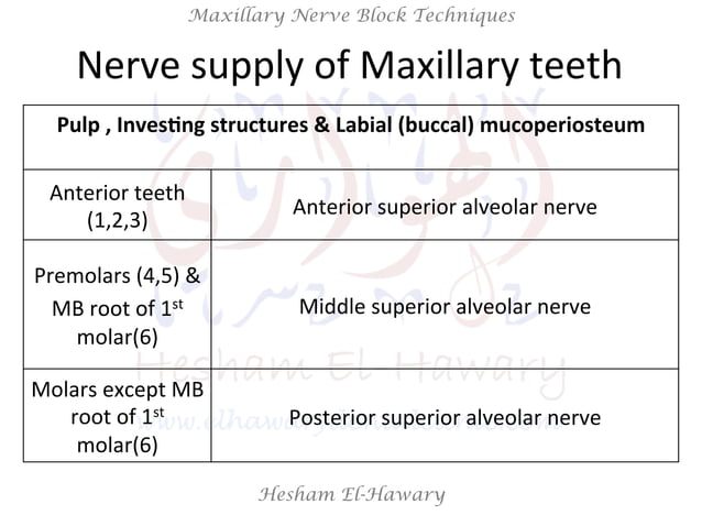 Maxillary nerve block anesthetic technique (with photos) | PDF | Ear ...