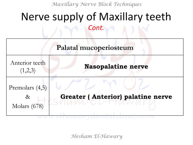 Maxillary nerve block anesthetic technique (with photos) | PDF | Ear ...