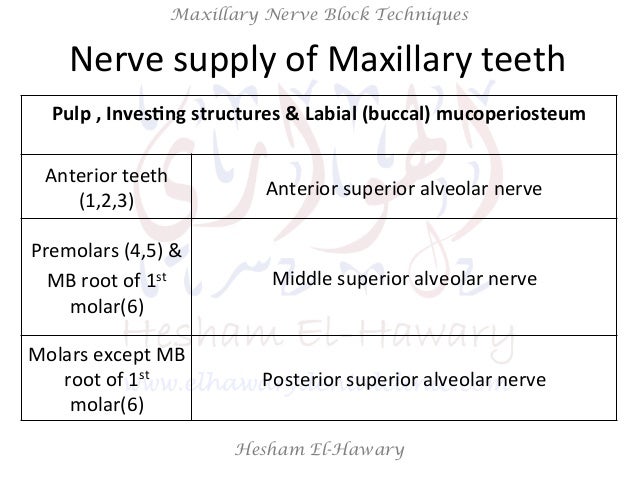 Maxillary nerve block anesthetic technique (with photos)