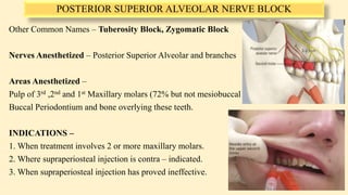 MAXILLARY NERVE BLOCKS.pptx