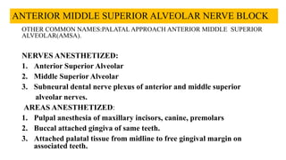 MAXILLARY NERVE BLOCKS.pptx