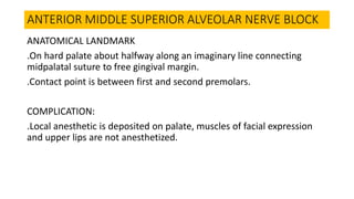 MAXILLARY NERVE BLOCKS.pptx