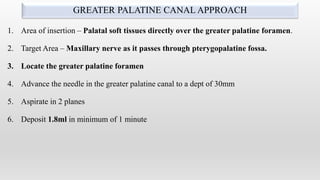 MAXILLARY NERVE BLOCKS.pptx