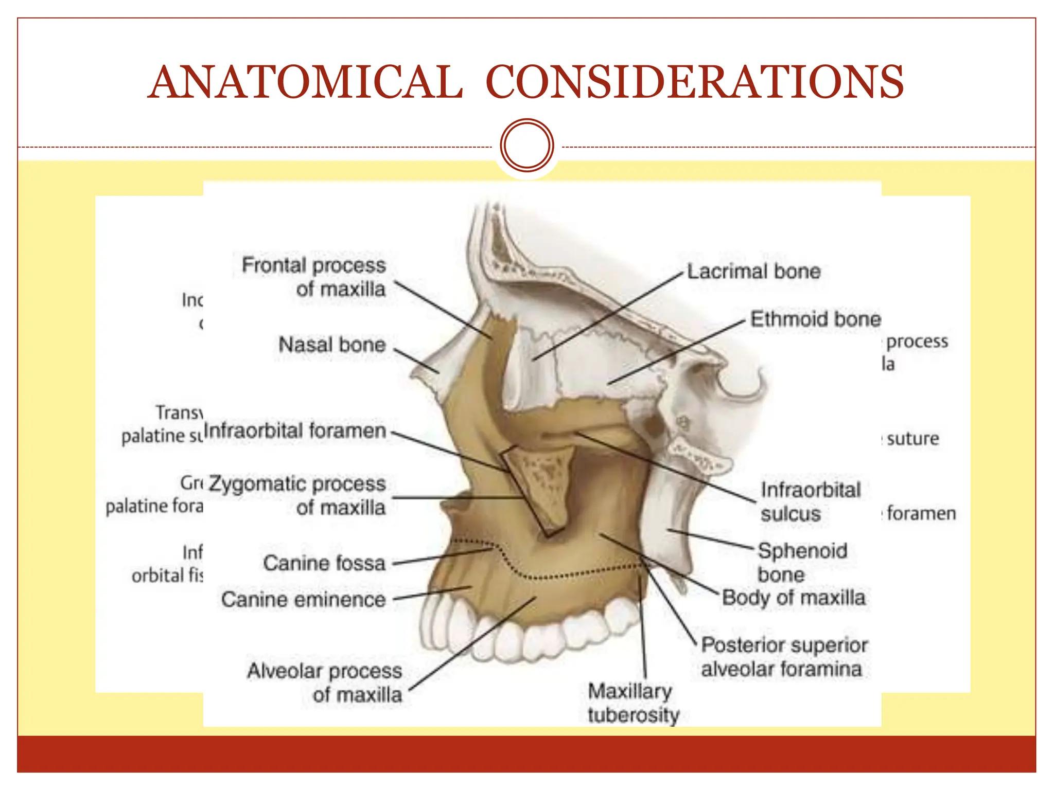 MAXILLARY ORTHOGNATHIC PROCEDURES AND SOFT TISSUE CHANGES-2.pptx