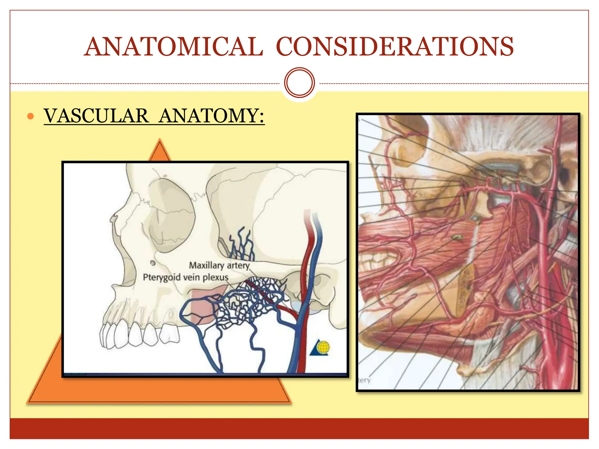 MAXILLARY ORTHOGNATHIC PROCEDURES AND SOFT TISSUE CHANGES-2.pptx