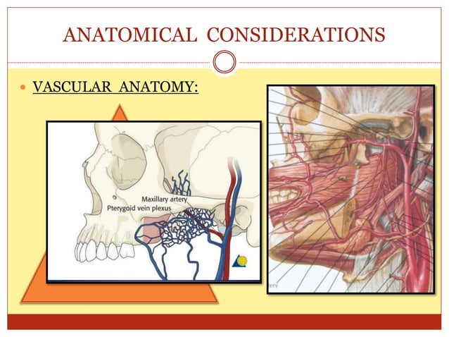 MAXILLARY ORTHOGNATHIC PROCEDURES AND SOFT TISSUE CHANGES-2.pptx ...