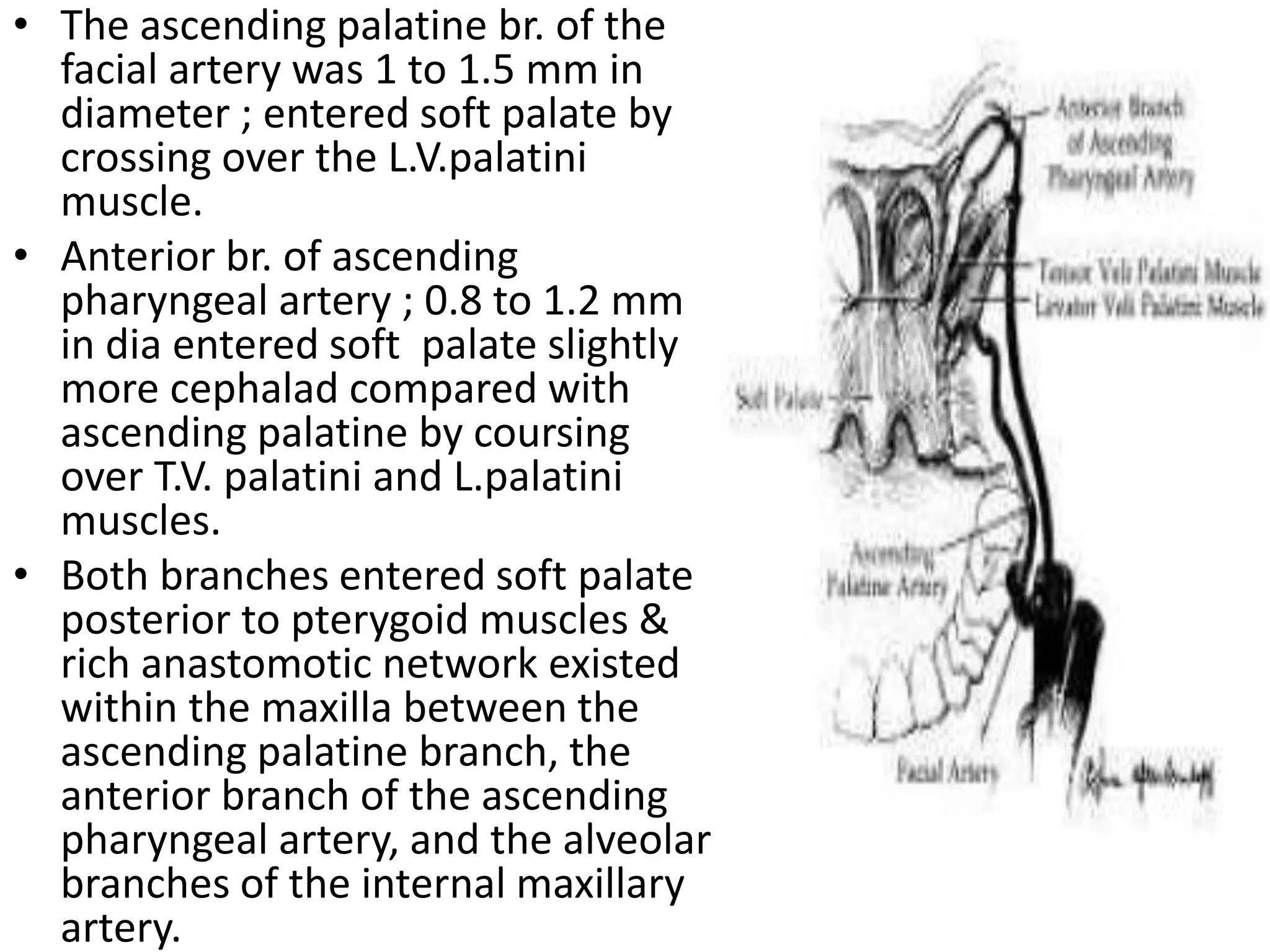 Maxillary Osteotomies & Associated Surgical complications | PPTX