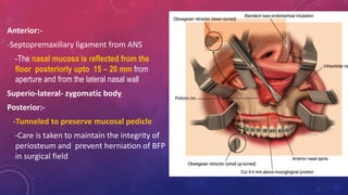 Maxillary osteotomy | PPT