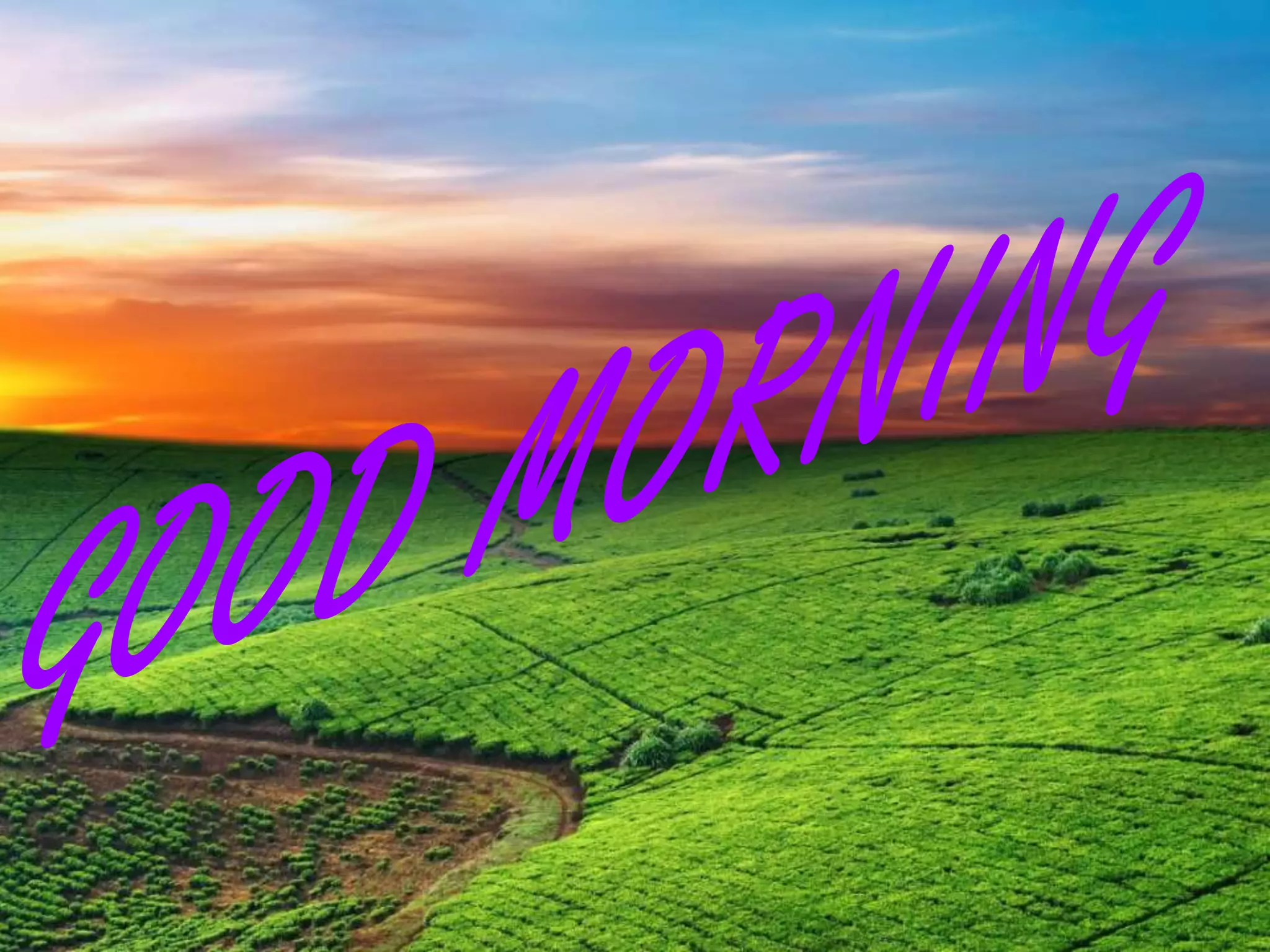 Maxillary permenent lateral incisor | PPT