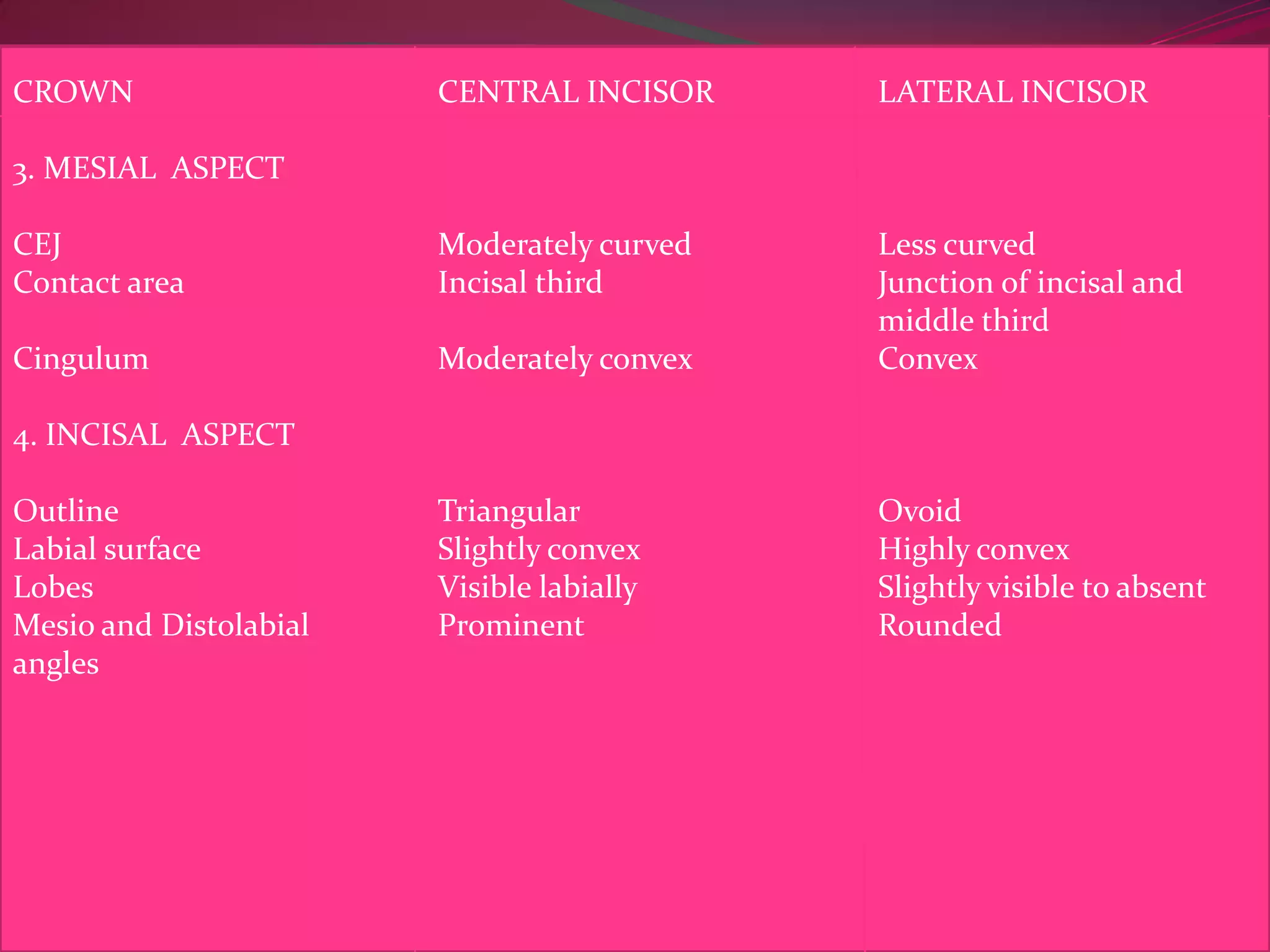 Maxillary permenent lateral incisor | PPT