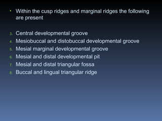 Maxillary Premolars | PPT
