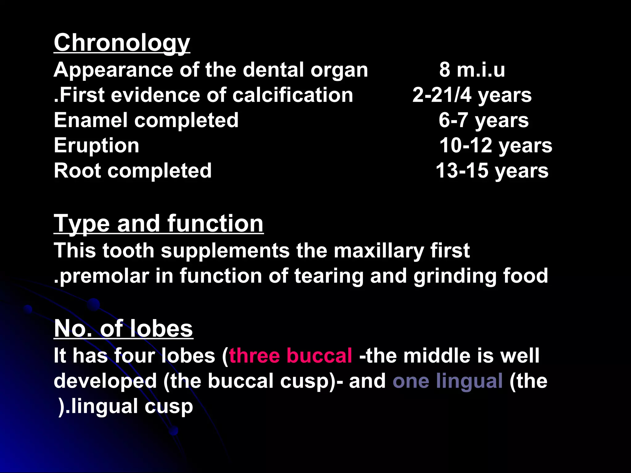 Maxillary Premolars | PPT | Dental Health | Diseases and Conditions