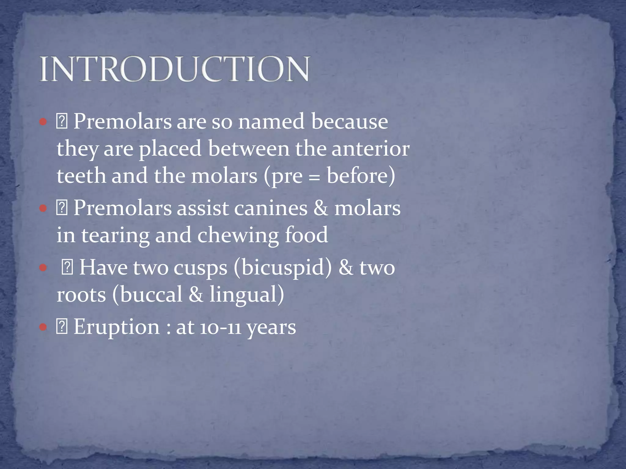Maxillary Permanent Premolars | PPTX