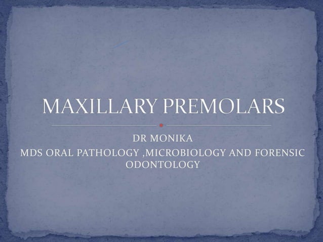 Maxillary Permanent Premolars | PPTX