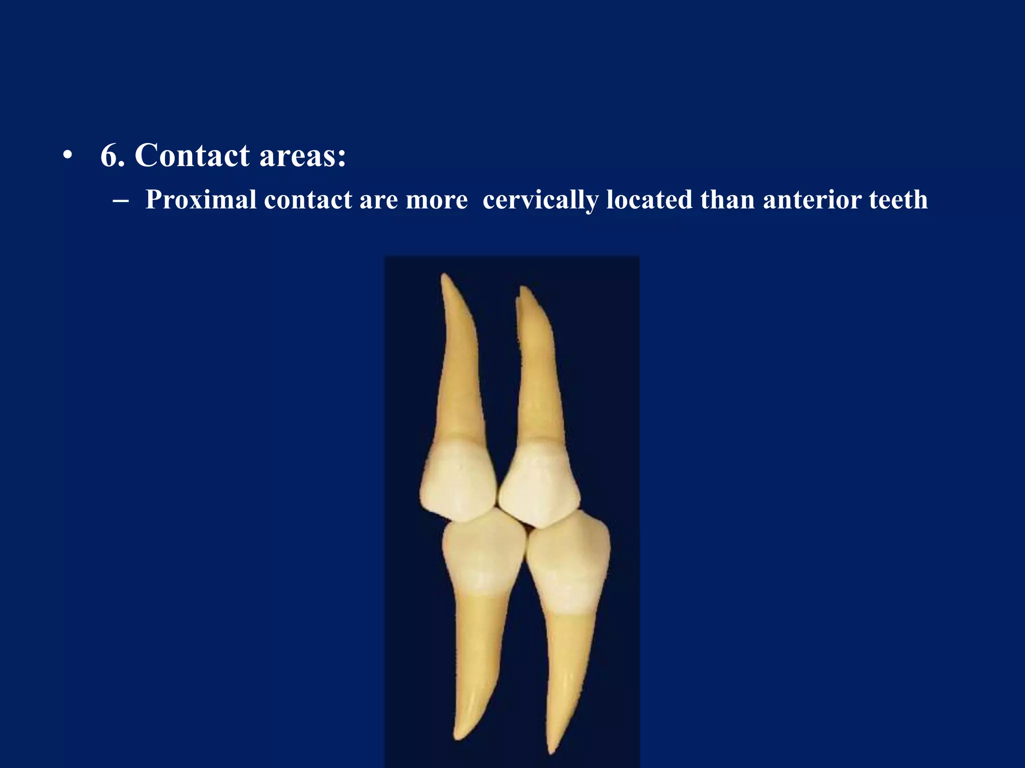 class traits of premolars and Maxillary 1st premolar.pptx