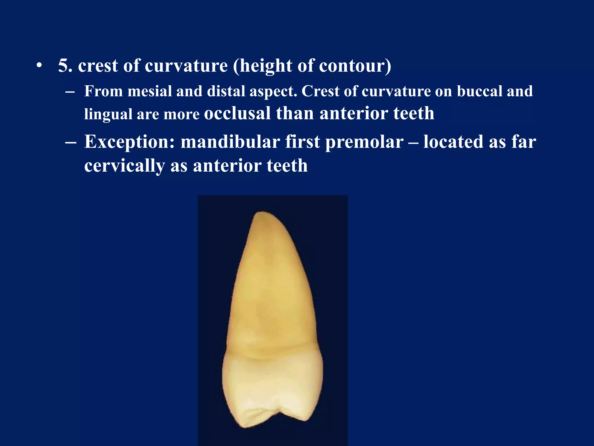 class traits of premolars and Maxillary 1st premolar.pptx