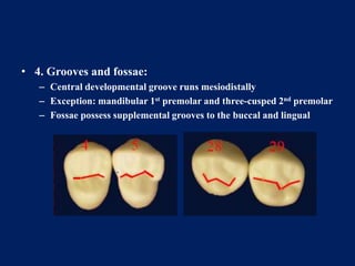 class traits of premolars and Maxillary 1st premolar.pptx