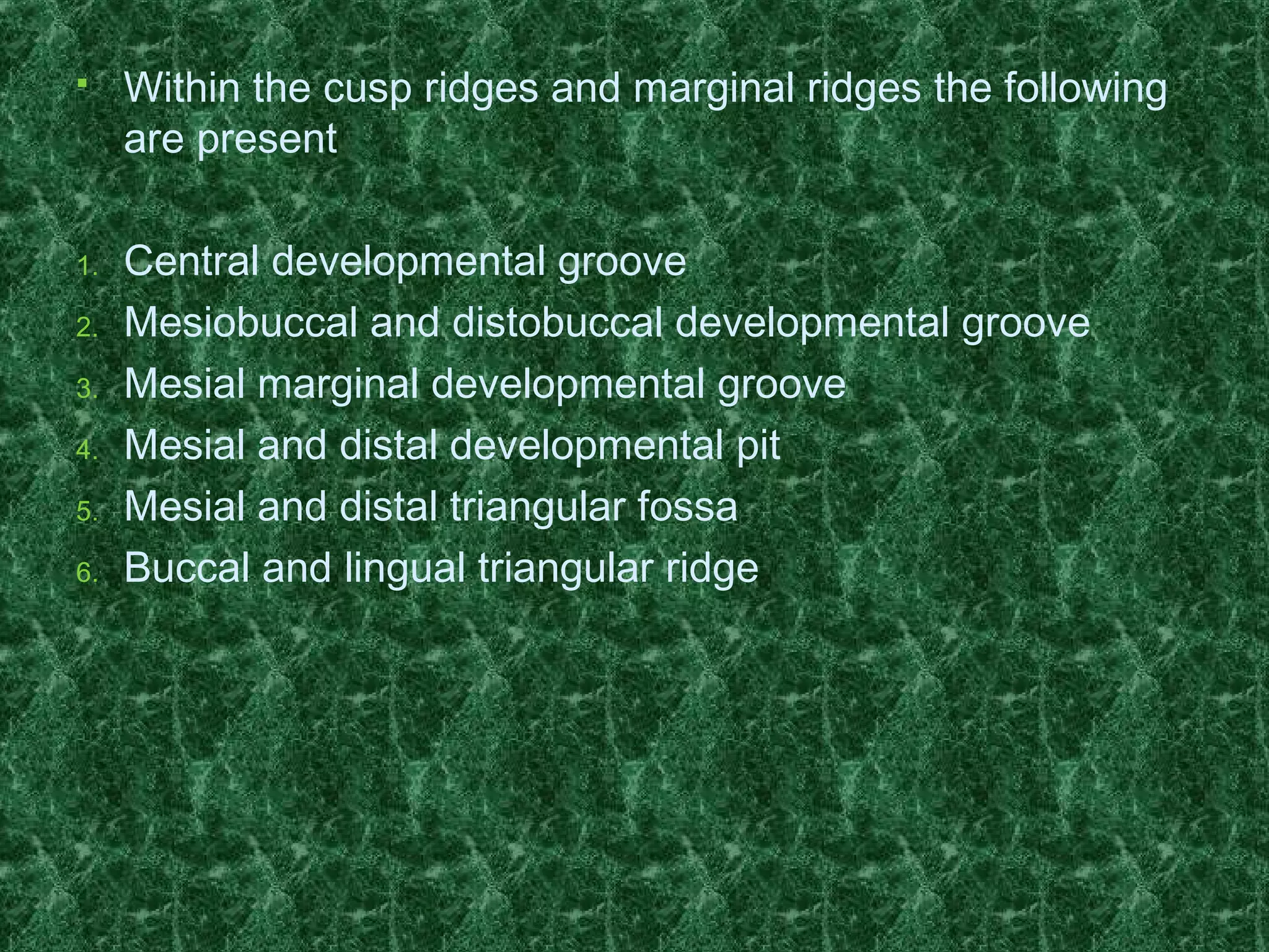 morphology of maxillary premolar teeth | PPT