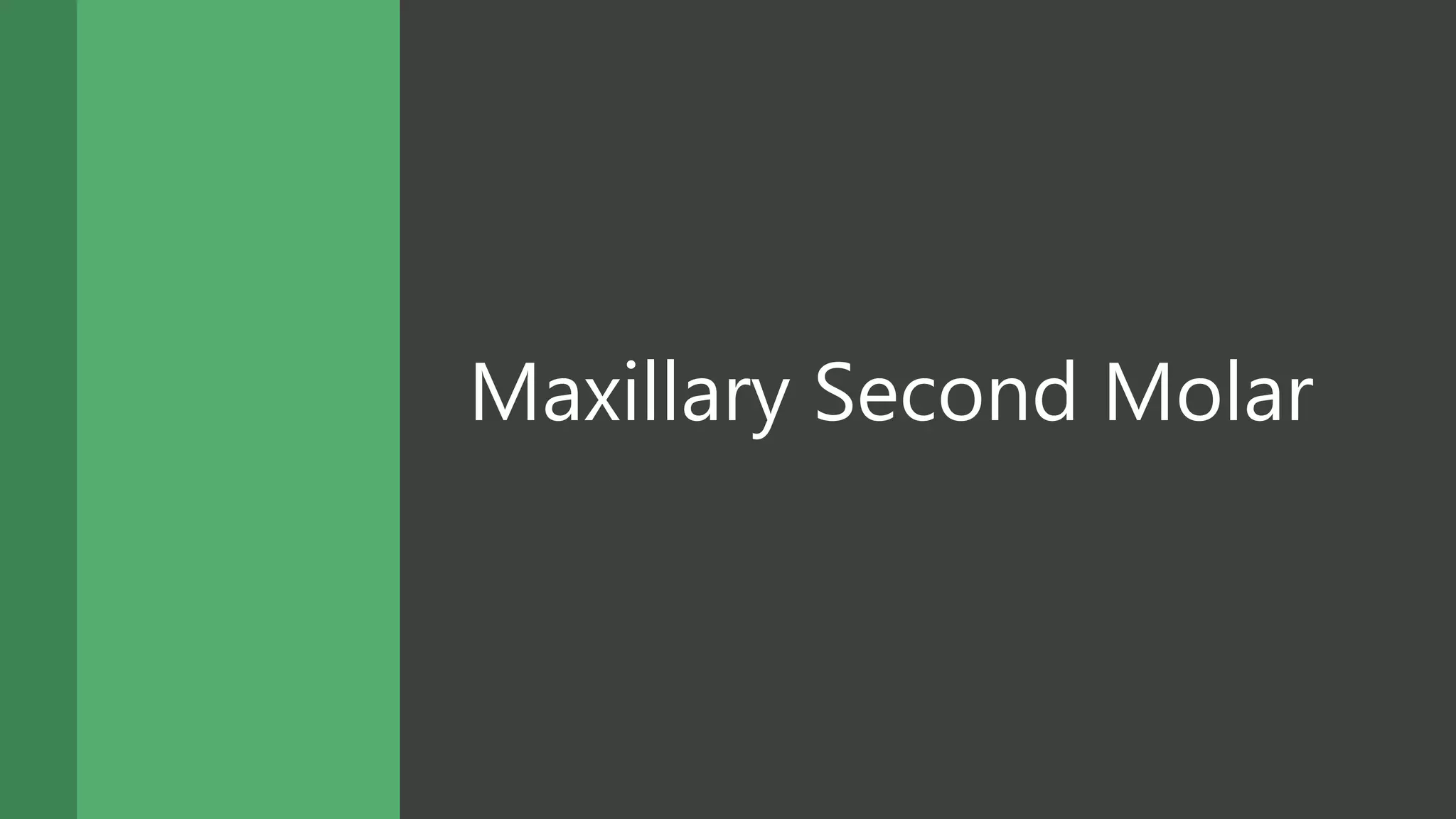 Maxillary second molar | PPTX