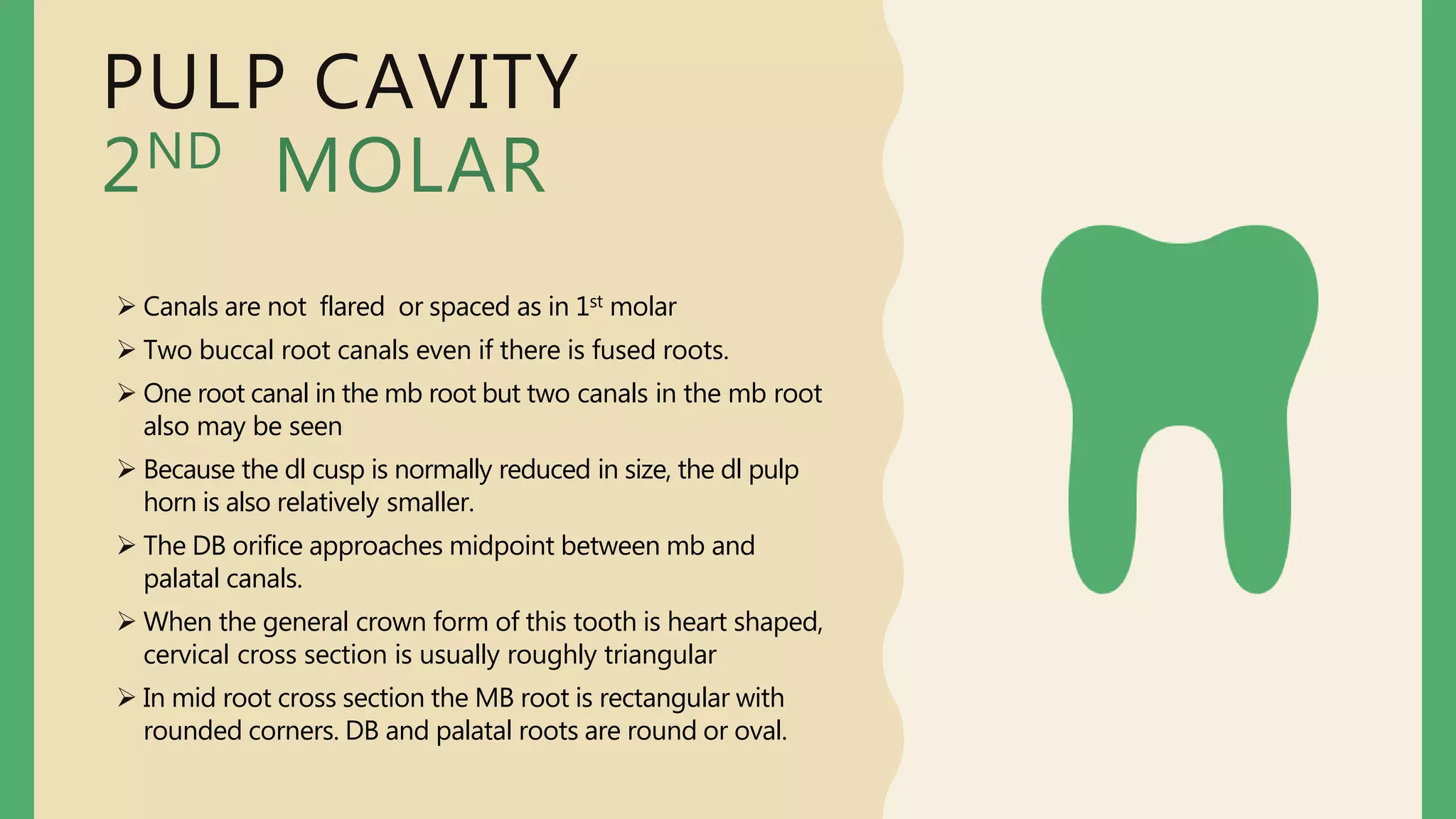 Maxillary second molar | PPTX