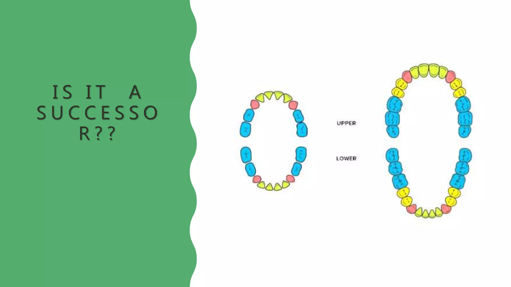 Maxillary second molar | PPTX